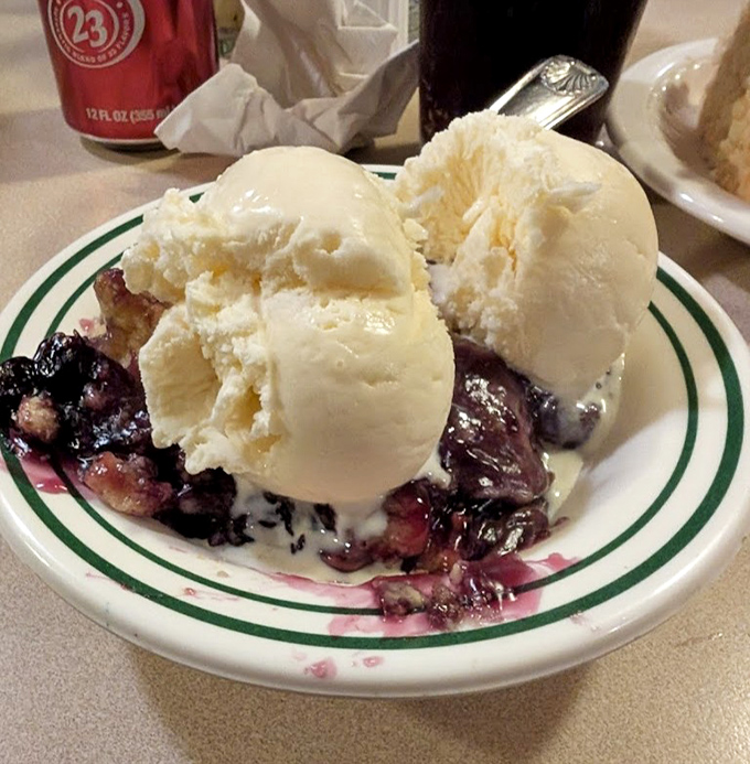 Dessert nirvana: warm blueberry cobbler crowned with two generous scoops of vanilla ice cream melting into sweet, purple paradise.