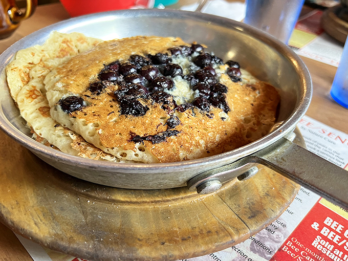 These blueberry pancakes aren't just a meal&mdash;they're a canvas where fruit and batter create breakfast art worthy of morning museum status.