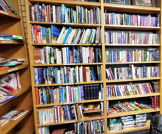 Bibliophile paradise! These wooden shelves groan under the weight of literary adventures waiting to be discovered for just a few dollars.