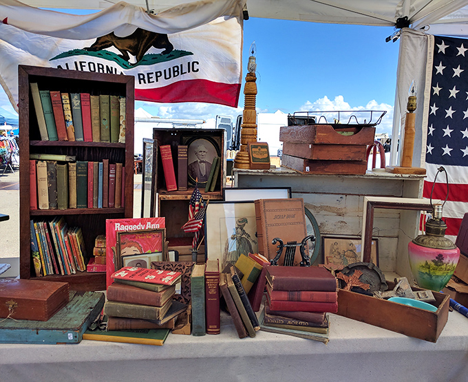 A literary time capsule beneath the California flag. That Raggedy Ann book? Probably comforted a child during the Summer of Love.