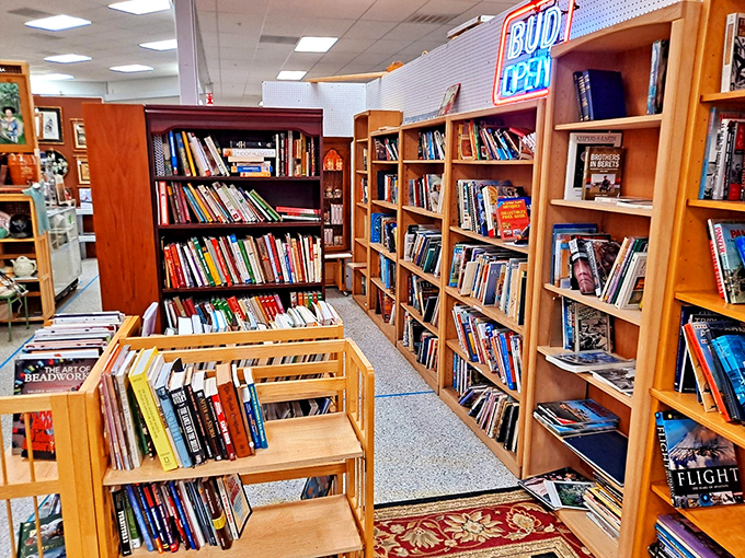 Books that have outlived their original owners stand in silent formation. Each spine represents a world waiting to be reopened, stories paused mid-chapter.