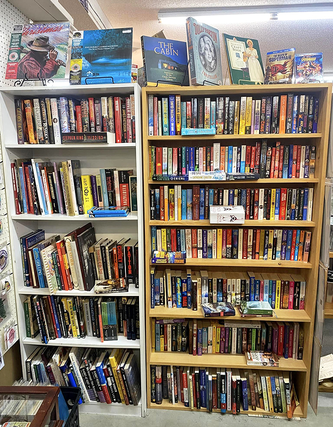 Literary heaven for the patient explorer! These shelves don't just hold books—they contain worlds, memories, and that intoxicating old-paper smell bibliophiles crave.