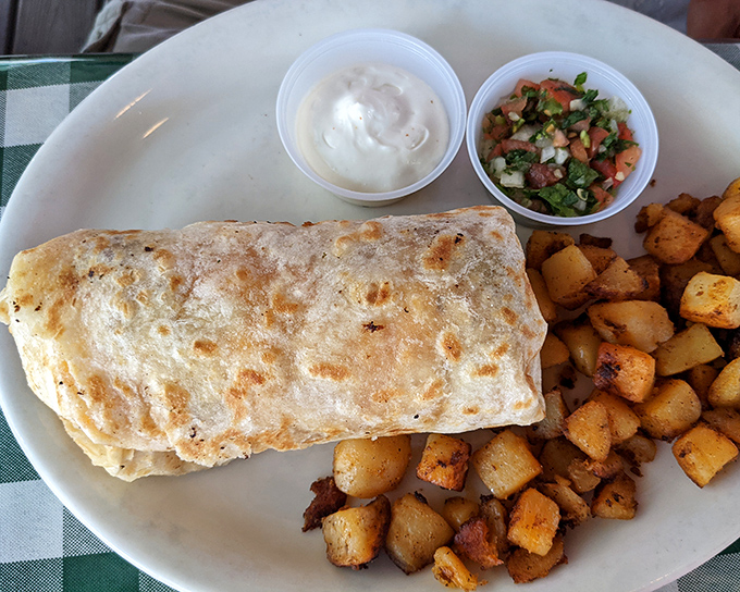 Breakfast burrito perfection: a golden-brown tortilla package filled with morning goodness, flanked by crispy home fries that could make a hash brown jealous.