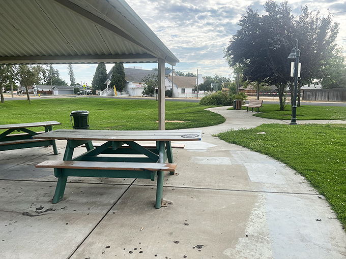 The humble picnic pavilion &ndash; where family reunions and community potlucks create memories that Instagram filters can't improve.