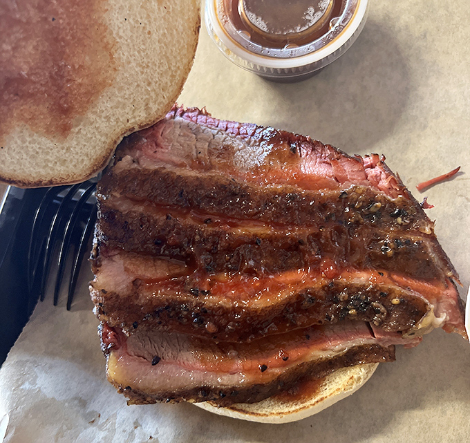 The brisket sandwich – where bread exists merely as a delivery system for smoke-kissed beef that's been transformed by time, fire, and expertise.