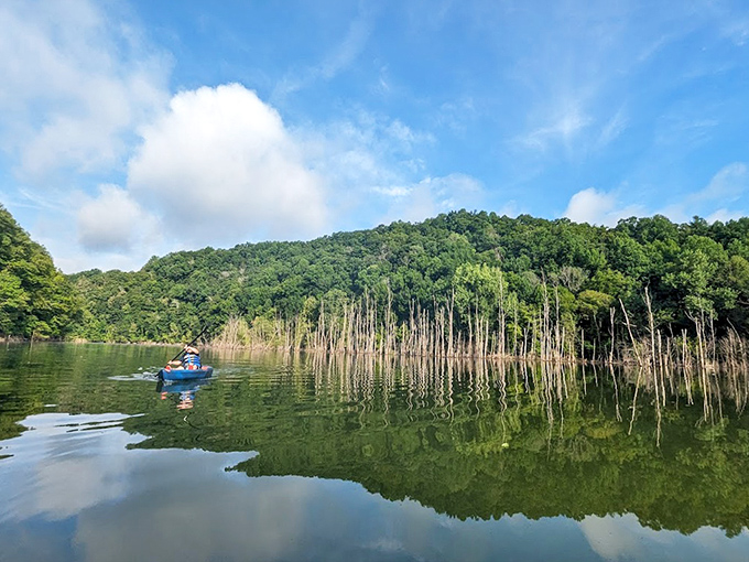 Beyond the falls, Burgess Falls Lake offers mirror-like reflections so perfect you'll check twice to make sure you're not looking at a screensaver.