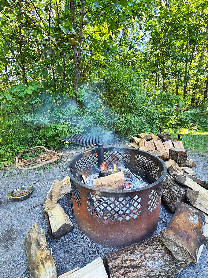 A campfire circle that's hosted more honest conversations and perfectly burned marshmallows than any therapist's office ever could.