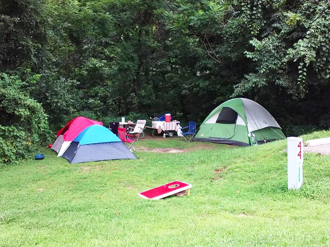 Your home away from home, where the neighbors are deer and the alarm clock is birdsong.