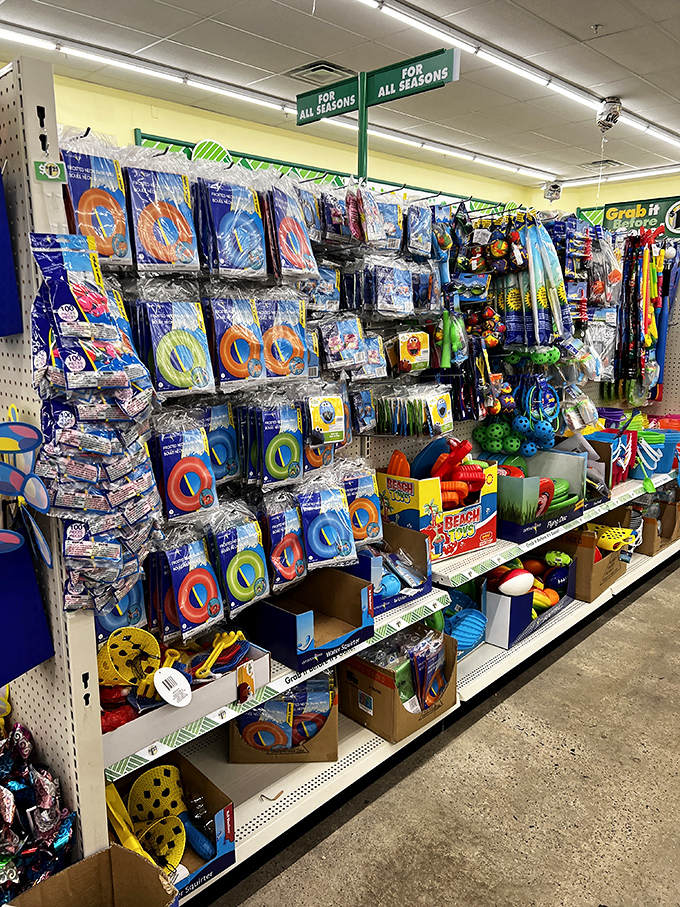 Summer fun doesn't require a second mortgage. Beach toys, pool floats, and water wings stand ready for aquatic adventures at prices that won't sink your budget.