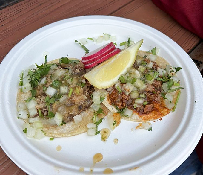 Two tacos, different stories—one creamy, one spicy, both causing that involuntary head nod that says, "This is the real deal."