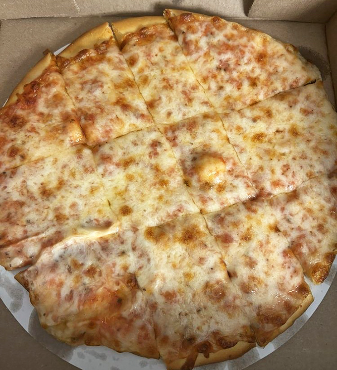 Cheese pizza so honest and straightforward it could run for office. No gimmicks, just decades of know-how in every bite.