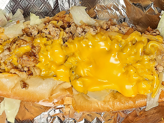 The chicken cheesesteak—proof that poultry can party. That vibrant cheese blanket isn't just for warmth—it's transforming ordinary into extraordinary.