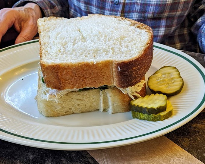 The humble sandwich elevated to art form. Thick-cut bread embracing chicken salad with the kind of generosity only found in Wisconsin diners. 