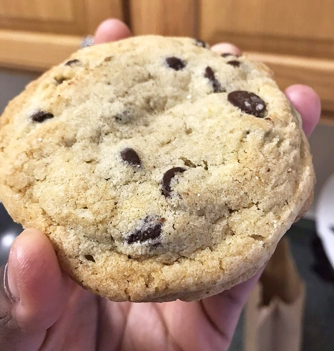This chocolate chip cookie isn't just baked&mdash;it's engineered for maximum comfort, with that perfect crisp-edge-to-chewy-center ratio that defies physics.