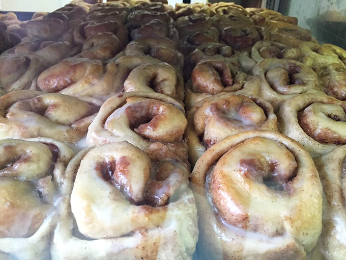 Cinnamon rolls lined up like sweet, spiral galaxies. If scientists discovered these were the center of the universe, I wouldn't be surprised.