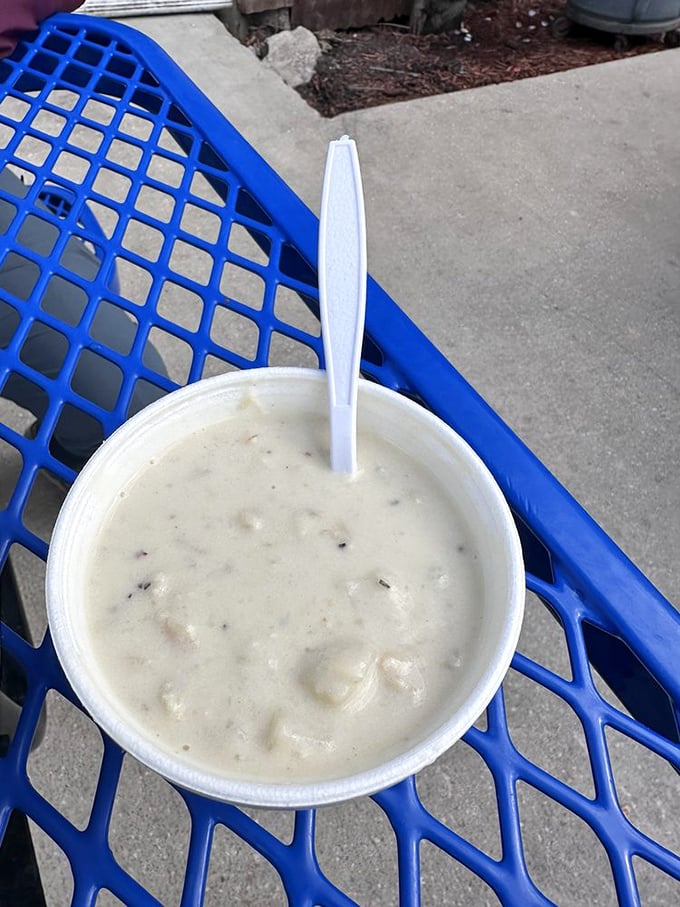 Clam chowder that could make a New Englander question their loyalty. Creamy, chunky, and unapologetically satisfying.