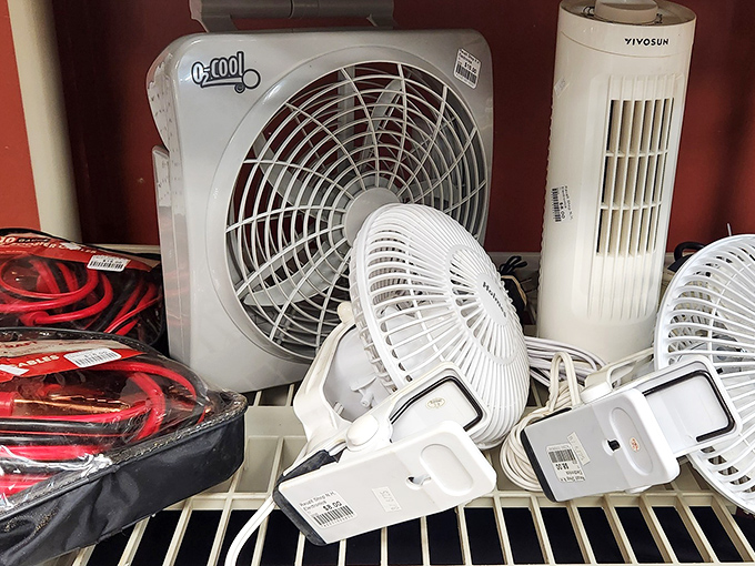 Summer's approaching? The fan section stands ready to cool your home without heating up your credit card. Practical magic at its finest.