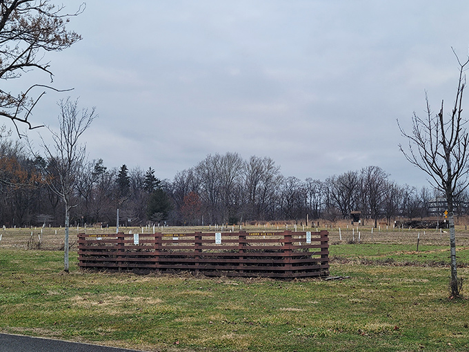 The community garden plots await spring planting &ndash; wooden frames standing ready for the neighborhood's green thumbs.