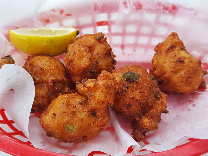 Conch fritters that bounce between crispy and tender like they're auditioning for a cooking show.
