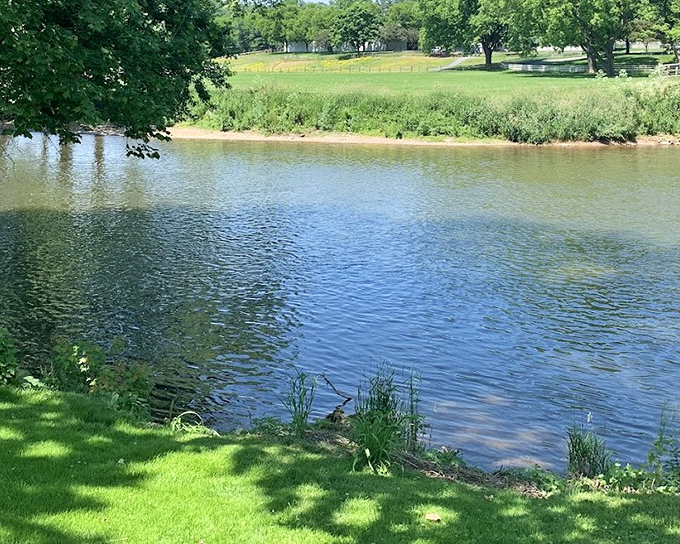 Farm fields stretch beyond the river, reminding you this is working countryside, not just a postcard backdrop.