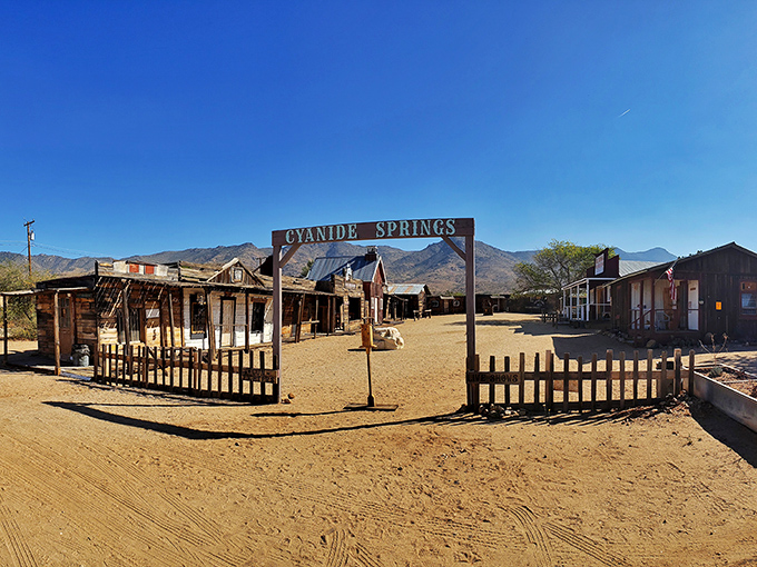 Welcome to Cyanide Springs, where the name might sound deadly but the Old West atmosphere is alive and kicking in this recreated frontier setting.
