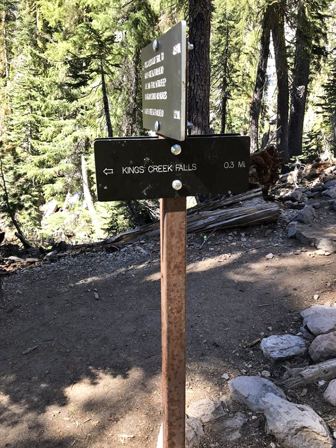 "Kings Creek Falls: 0.3 Mi" &ndash; the most promising relationship status update you'll see all day.