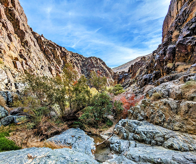 Darwin Canyon's vegetation creates a green hallway leading to the main attraction&mdash;nature's version of a red carpet premiere.