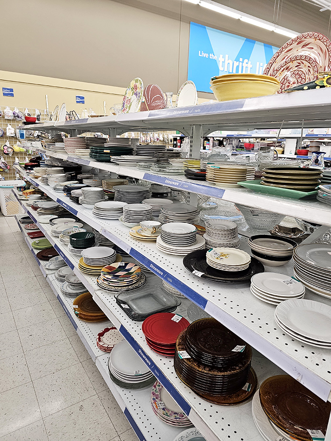 Dinner party on a budget? These shelves of dishes could outfit a banquet hall without emptying your wallet.