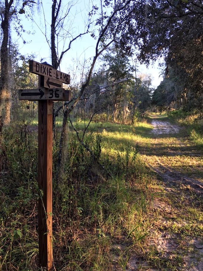 The wooden signpost to Dixie Lake stands as a low-tech GPS in a high-tech world, pointing the way to adventures that won't fit on Instagram.