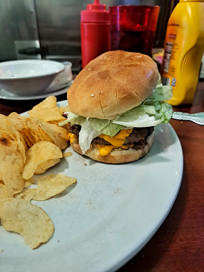 A double cheeseburger that understands its purpose in life: delivering pure, unapologetic comfort food joy with every bite.
