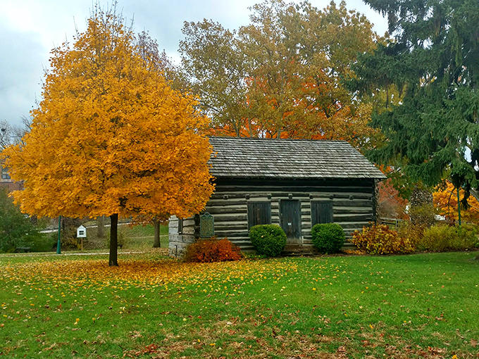 The Elias Comstock Cabin stands surrounded by autumn's fiery display, a humble log structure that whispers stories of pioneer determination.
