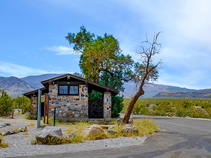 The highway curves through mountains that have clearly been working out for millions of years. Talk about rock-hard abs!