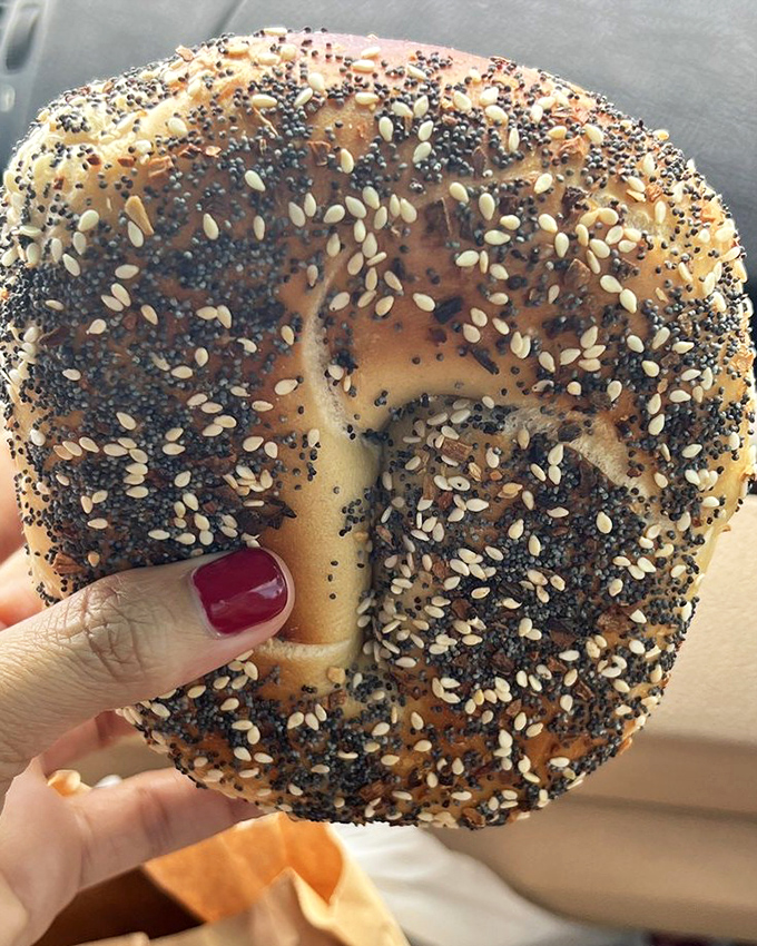 The everything bagel&mdash;a perfect circle of chewy bliss where poppy meets sesame in a harmonious dance of texture and flavor.