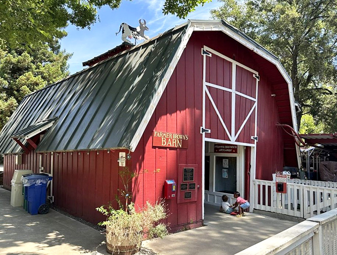 Farmer Brown's Barn houses furry friends who never complain about visitors. City kids discovering where eggs come from? Priceless educational moments.