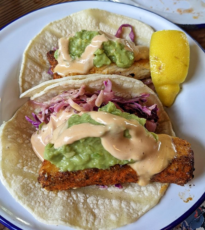 Fish tacos that make you question why you ever ate anything else. That sauce drizzle is performing culinary magic.