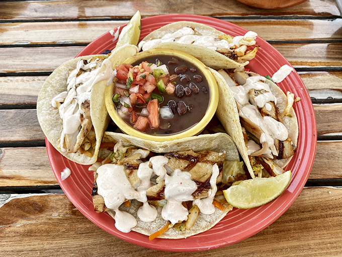 Not your average fish tacos—these are vacation on a plate. The kind of dish that makes you wonder why you don't live in Florida year-round.