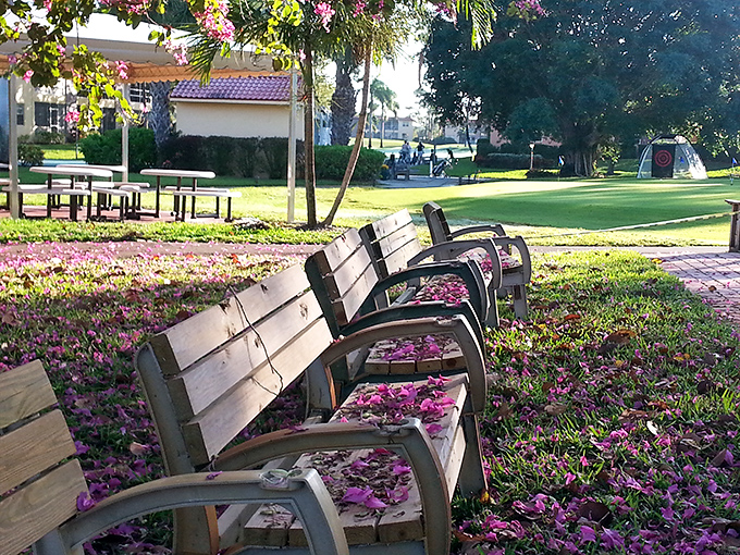 Spring's purple confetti decorates these benches daily. Nature's way of saying, "Sit down, relax&mdash;you've earned this view."