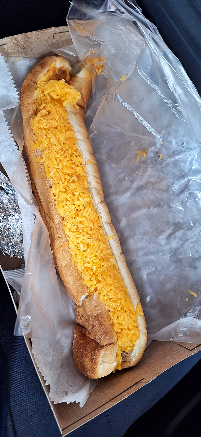 The footlong cheese dog &ndash; proof that sometimes more is exactly the right amount. This beauty demands a two-handed commitment and zero regrets.