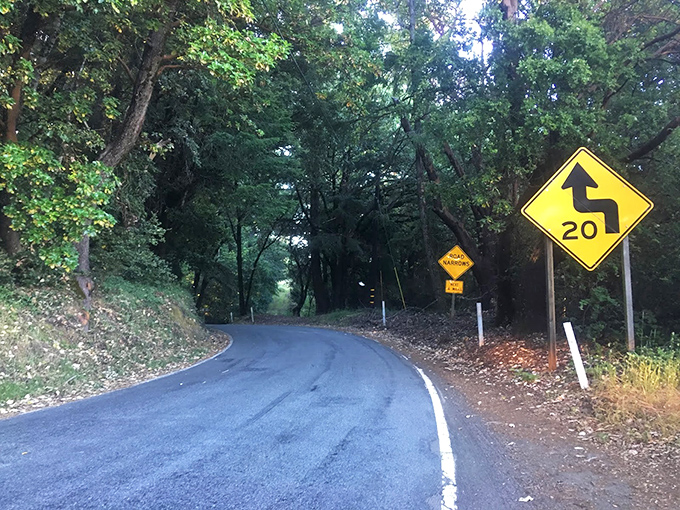 Sharp curves ahead! The kind of road that makes driving enthusiasts grin and passengers reach for the "oh no" handle above the door.