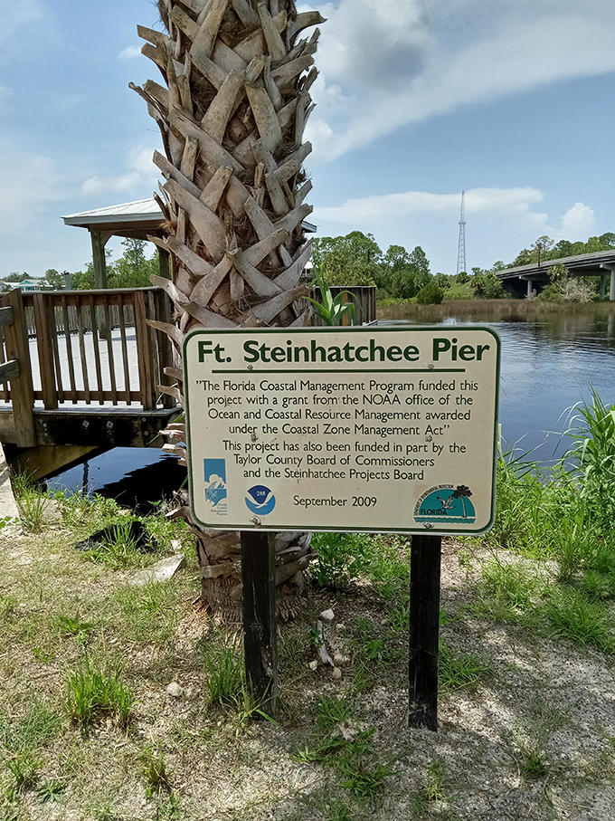 Fort Steinhatchee Pier stands as testament to community effort, where conservation meets recreation under swaying palms.