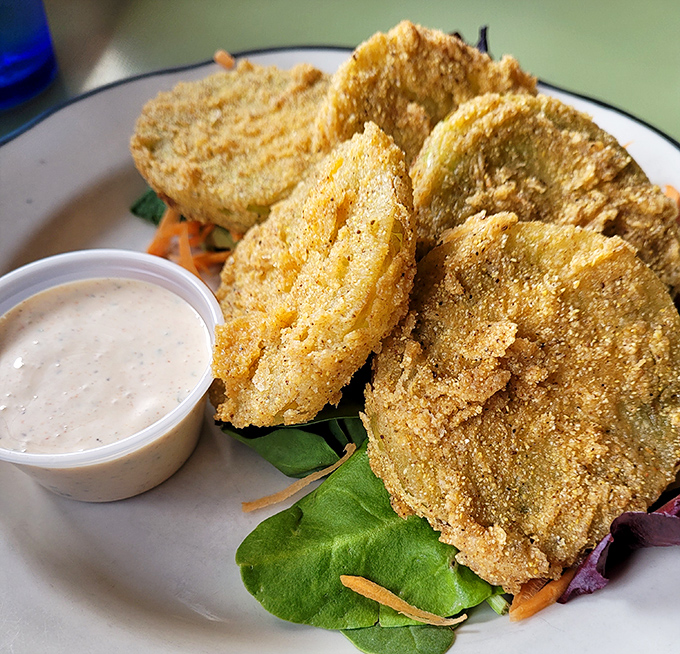 Golden-fried perfection with a side of ranch that's saying, "Go ahead, dip me. Nobody's watching." Crispy on the outside, tender within.