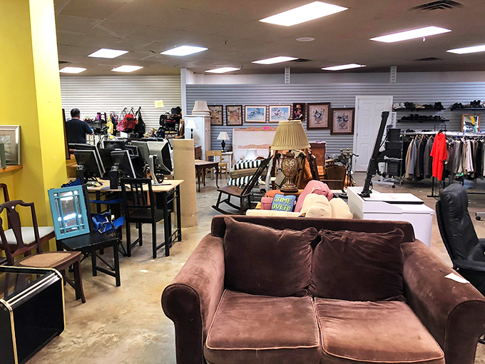 That perfect couch you've been searching for might be waiting here, nestled between vintage lamps and coffee tables with stories to tell.