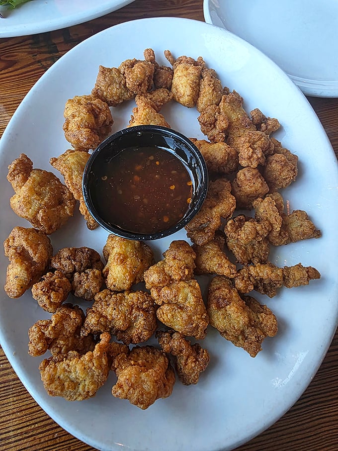 Golden-fried gator bites arranged in a perfect circle &ndash; proof that sometimes the most delicious things come from creatures you wouldn't want to meet swimming.