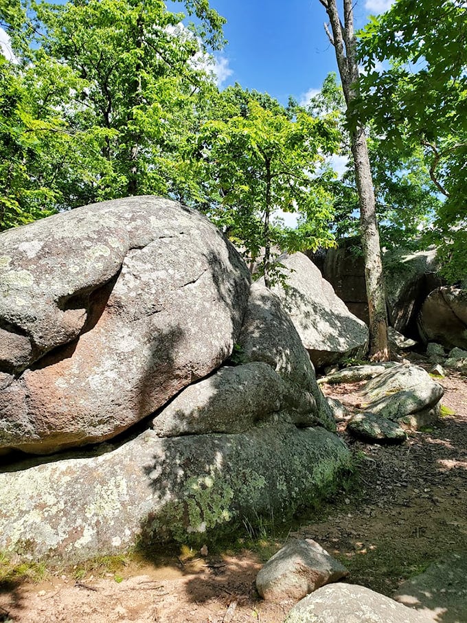 Like sleeping giants taking a billion-year nap, these boulders rest peacefully among trees that seem young by comparison.