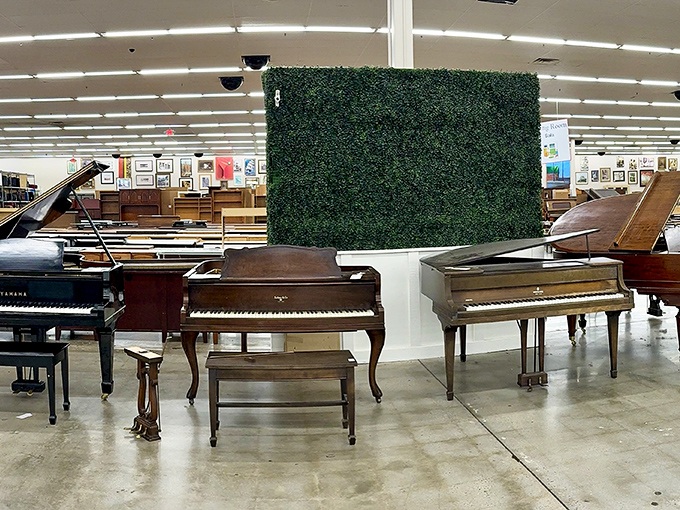 Piano heaven! Whether you're the next Elton John or just want an impressive conversation piece, there's a keyboard waiting for your fingers.