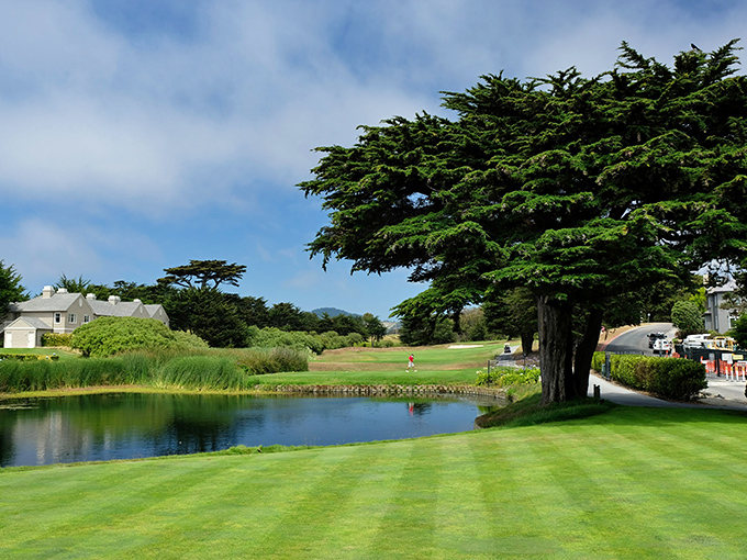 Fairway to heaven: Half Moon Bay Golf Links offers the rare opportunity to slice your ball into one of the most beautiful bodies of water on Earth.