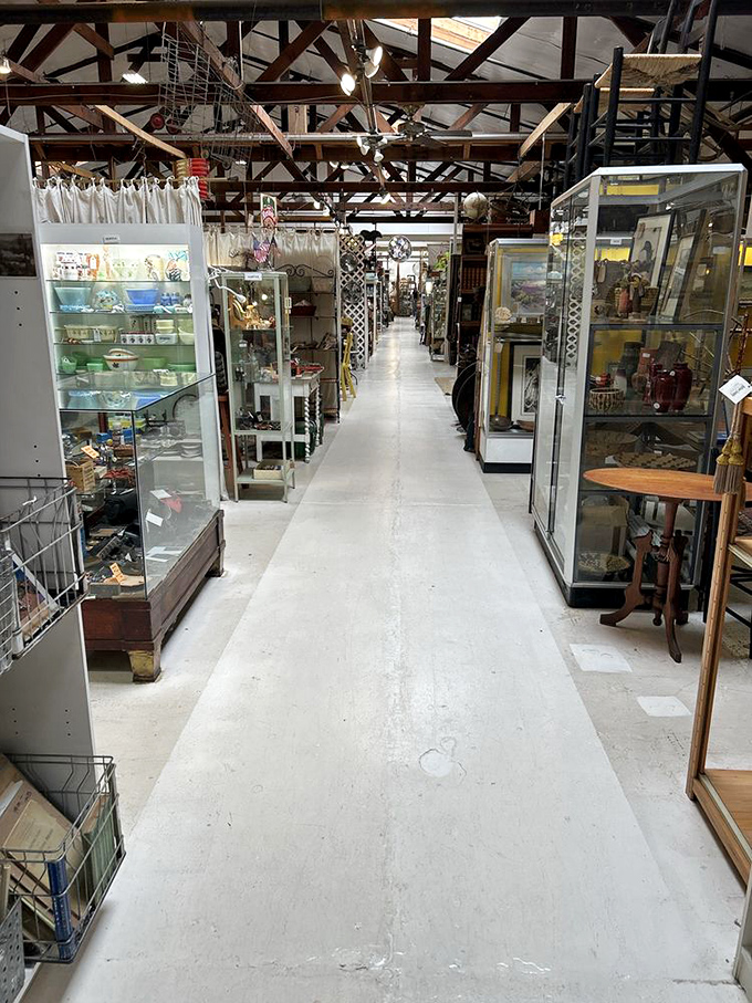 The pristine white hallway stretches like a runway for vintage finds, with display cases standing sentinel on either side.