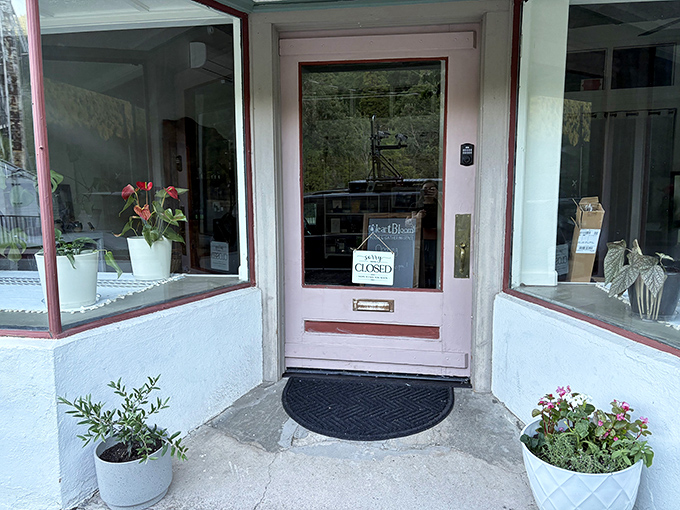 Charming storefronts with potted flowers say "we care about details" in that way chain stores never quite master.