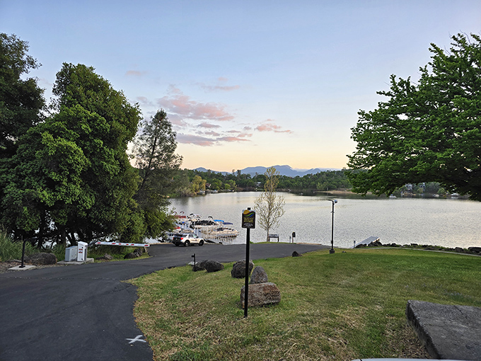 Sunset at the marina—that magical hour when the water turns to liquid gold and tomorrow's fishing stories begin to take shape.
