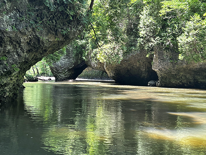 Mother Nature showing off her rock collection at Highlands Nature Sanctuary &ndash; limestone formations that make your garden rocks look like amateurs.